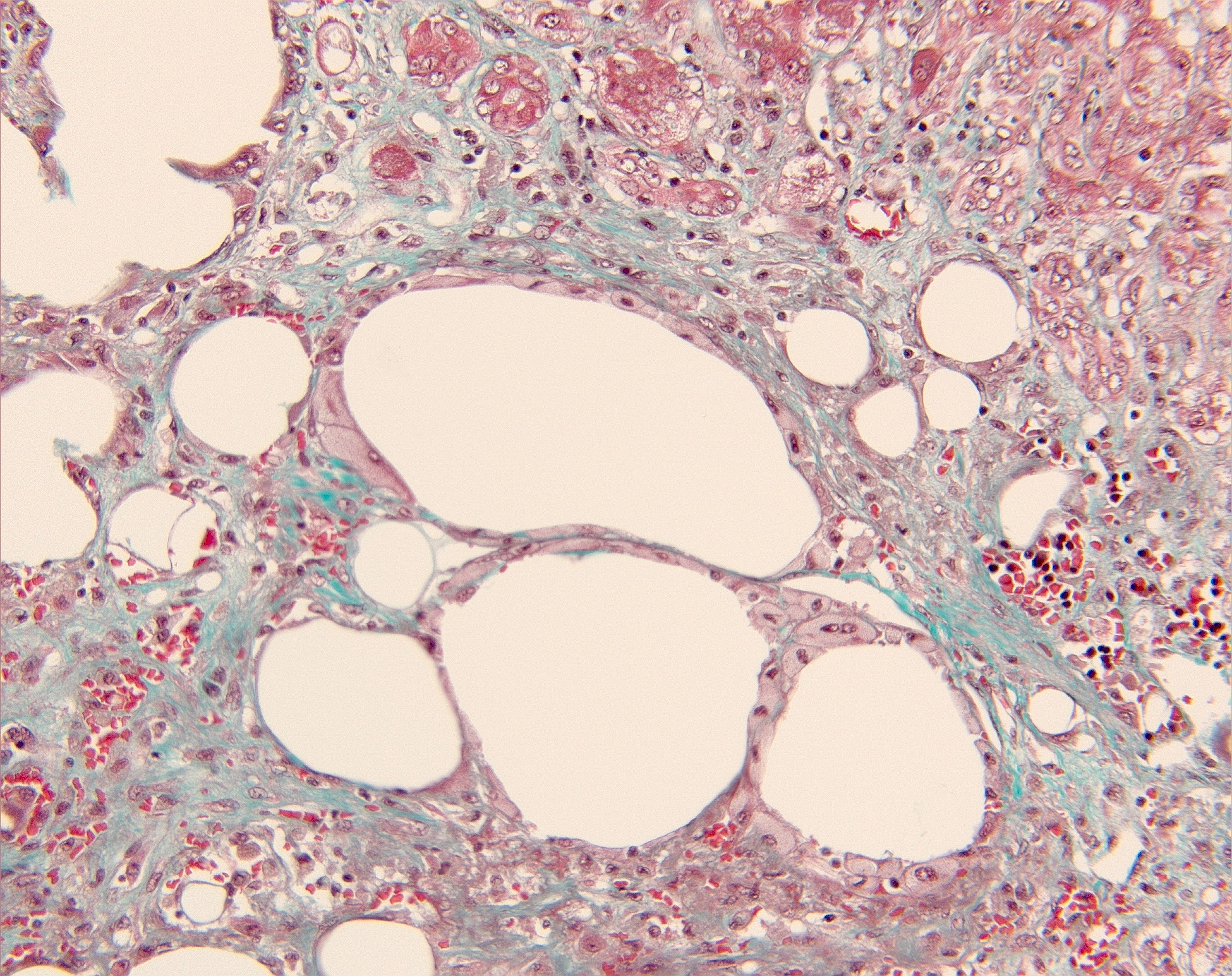 About – Ian R. Wanless